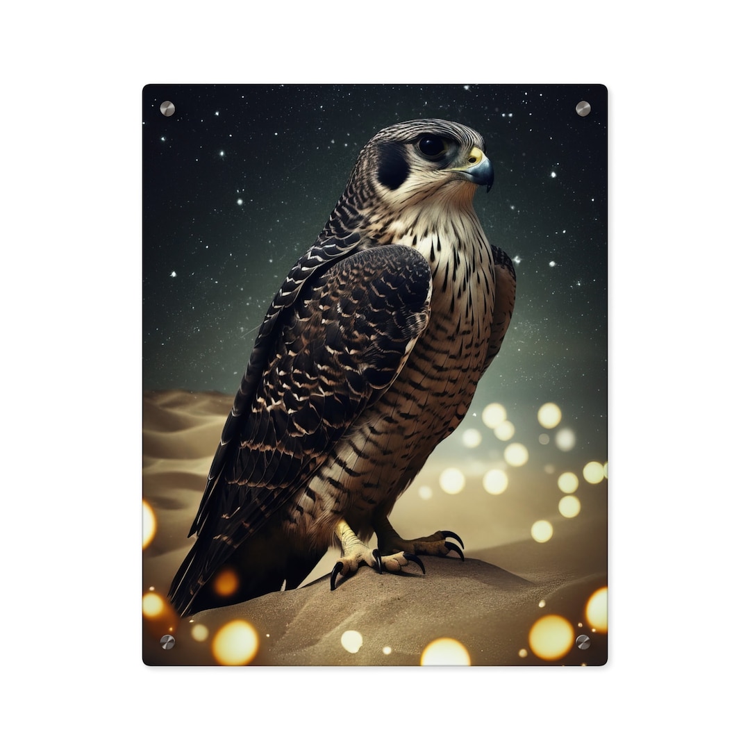 Cosmic Animal 'falcon' Acrylic Wall Art Panel - Ready to Hang Acrylic ...