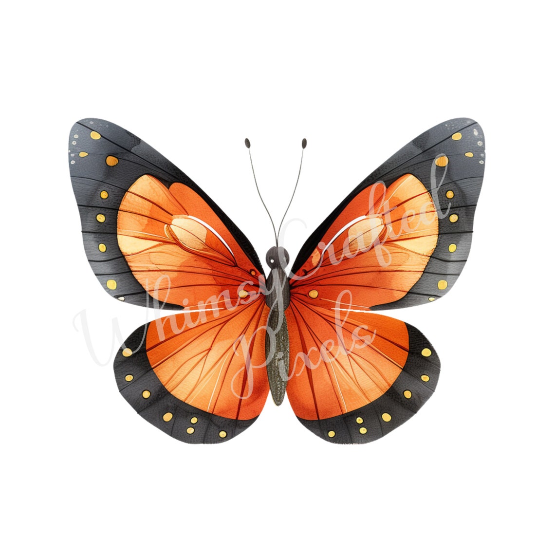 Watercolor Butterflies Clip Art Set Pretty Digital Images Scrapbooks ...