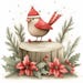 Charming Christmas Birds Clip Art Set | Winter Digital Images ...