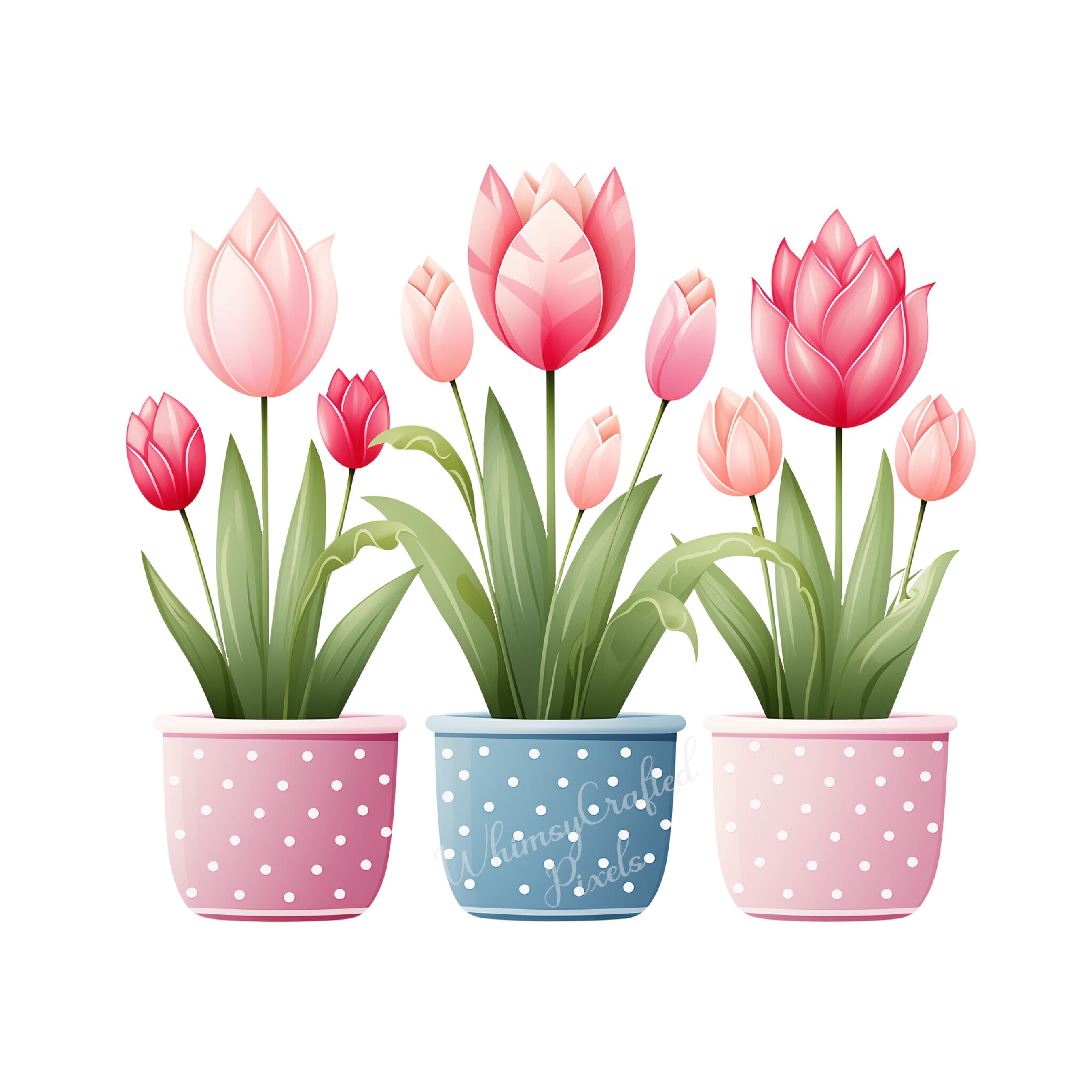 Pretty Pink Tulips Clip Art Set | Spring Digital Images for Scrapbooks ...