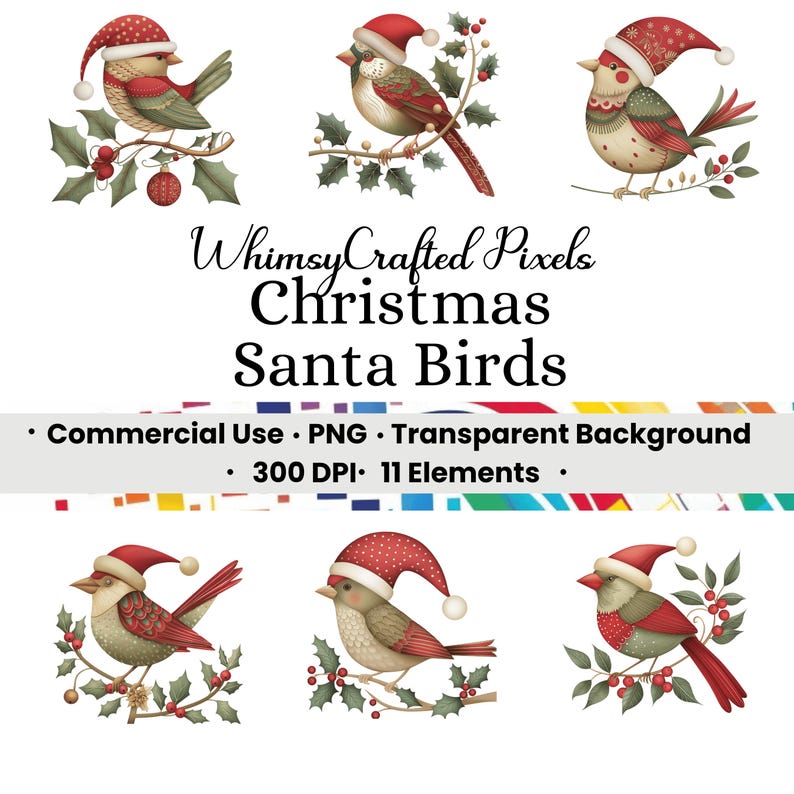 Christmas Santa Birds Clip Art Set | Holiday Digital Images ...