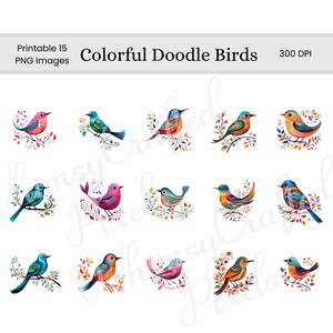 Colorful Doodle Bird Clip Art Set | Fun Digital Images | for Scrapbooks ...