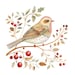 Charming Christmas Birds Clip Art Set | Winter Digital Images ...