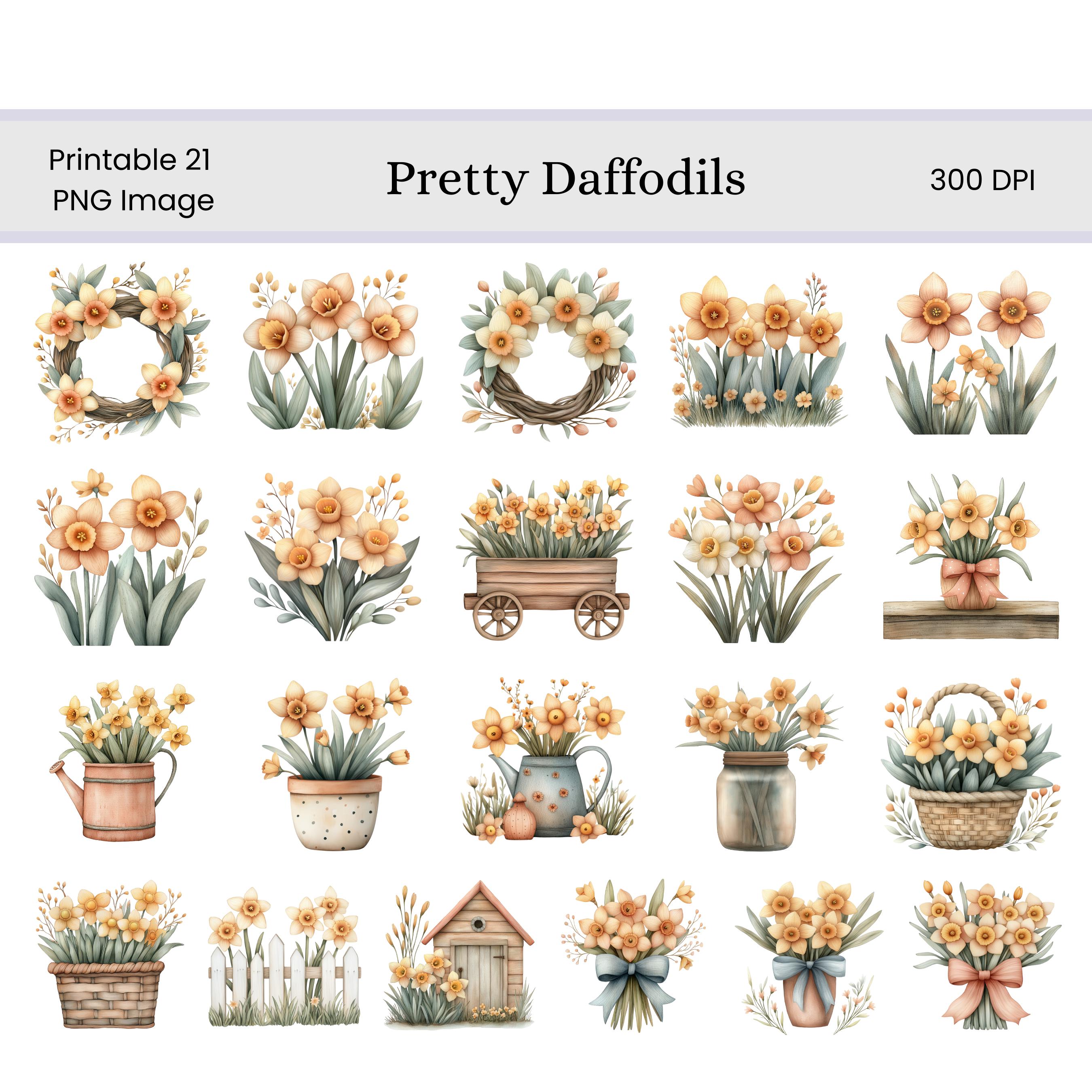 Pretty Daffodils Clip Art Set | Spring Flowers Digital Images ...
