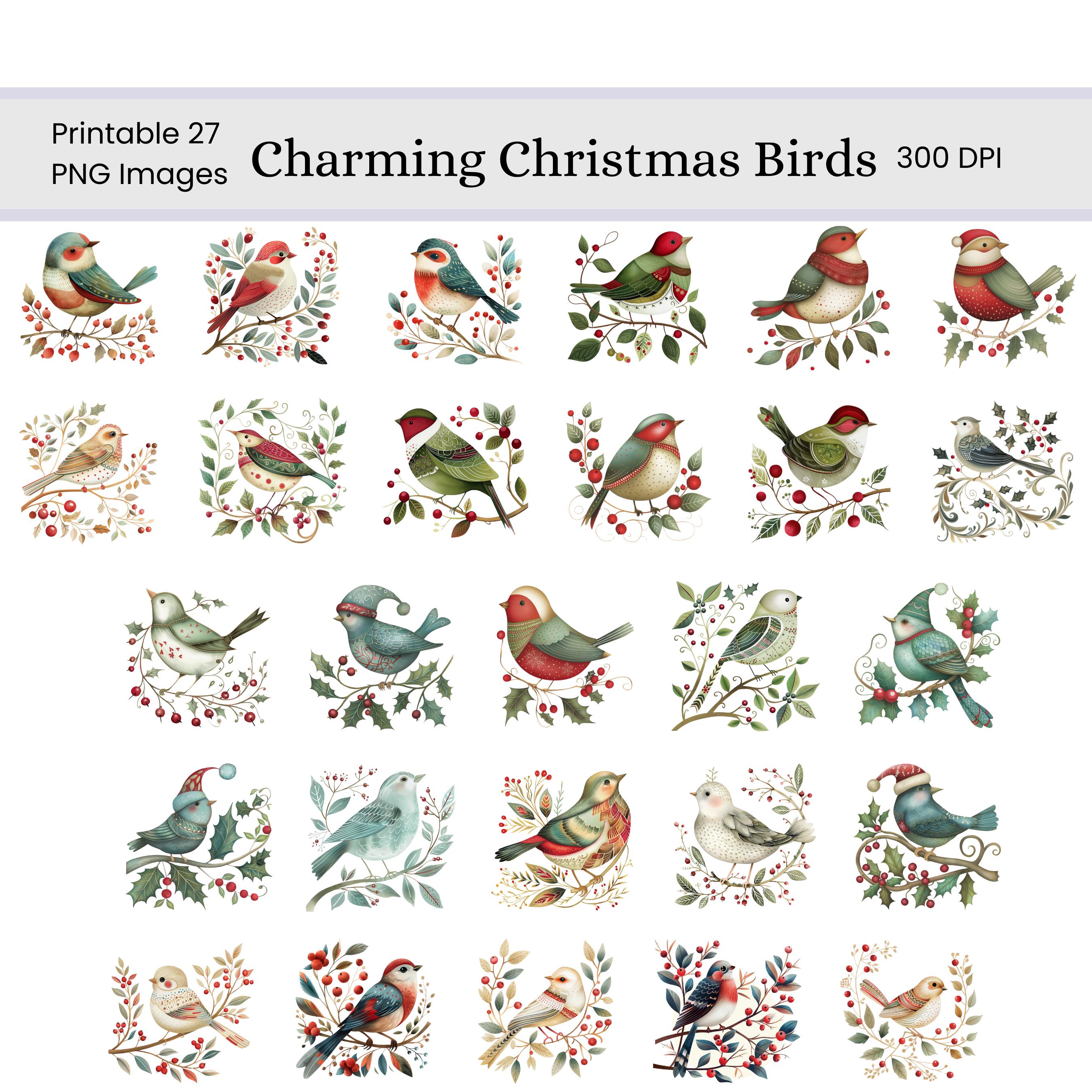 Charming Christmas Birds Clip Art Set | Winter Digital Images ...