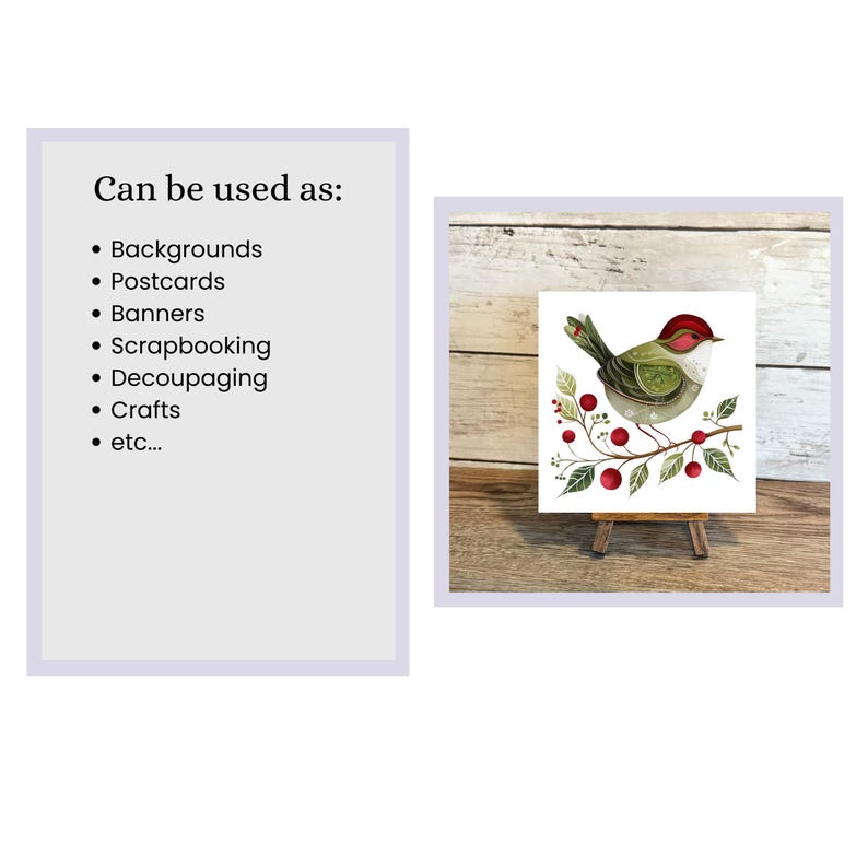 Charming Christmas Birds Clip Art Set | Winter Digital Images ...