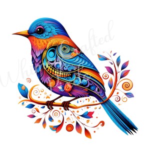 Colorful Doodle Bird Clip Art Set | Fun Digital Images | for Scrapbooks ...