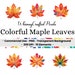 Colorful Maple Leaf Clip Art Set | Fall Digital Images | for Scrapbooks ...