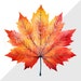 Colorful Maple Leaf Clip Art Set | Fall Digital Images | for Scrapbooks ...