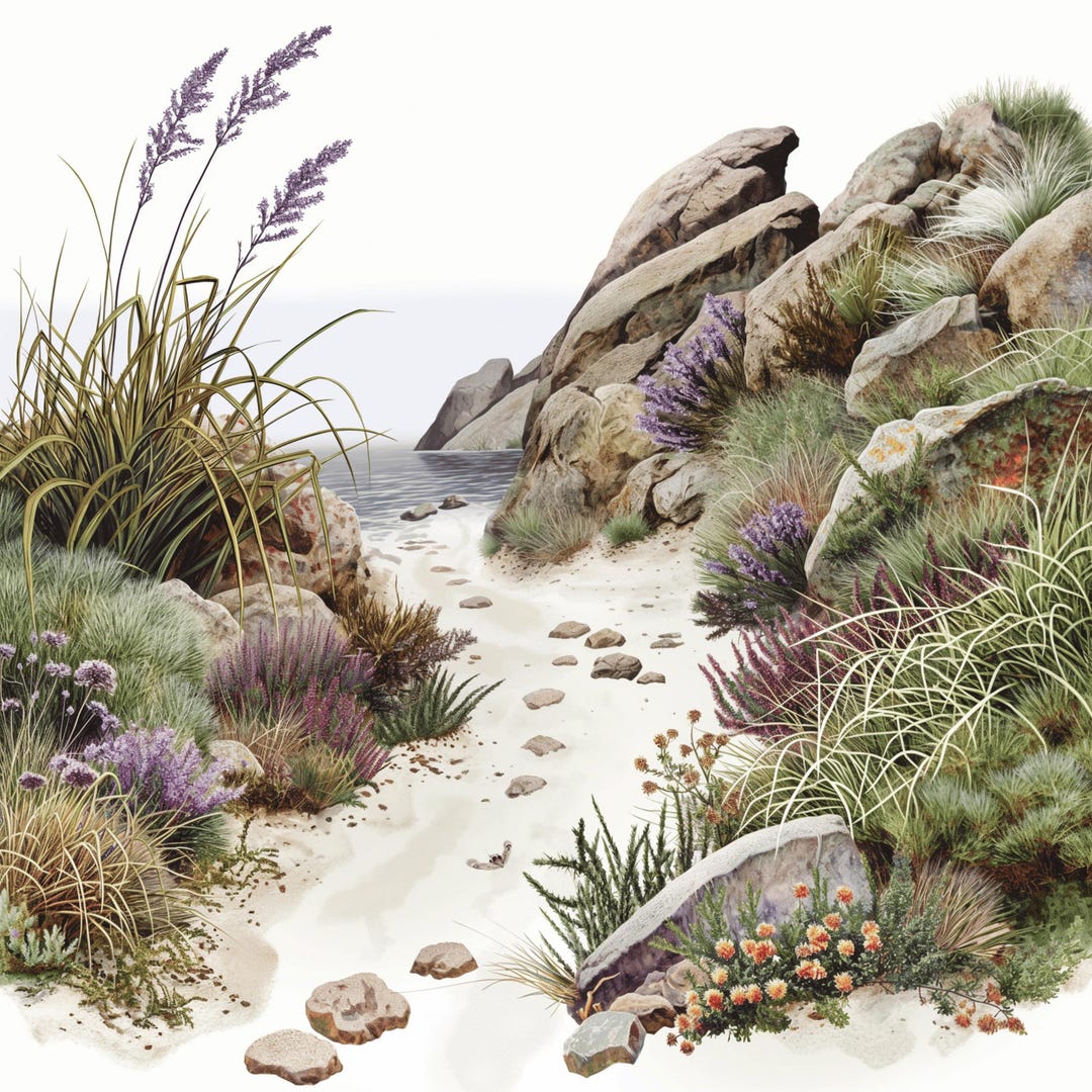 Seaside Paths Digital Pages | Printable Digital Coastal Art Backgrounds ...