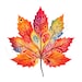 Colorful Maple Leaf Clip Art Set | Fall Digital Images | for Scrapbooks ...