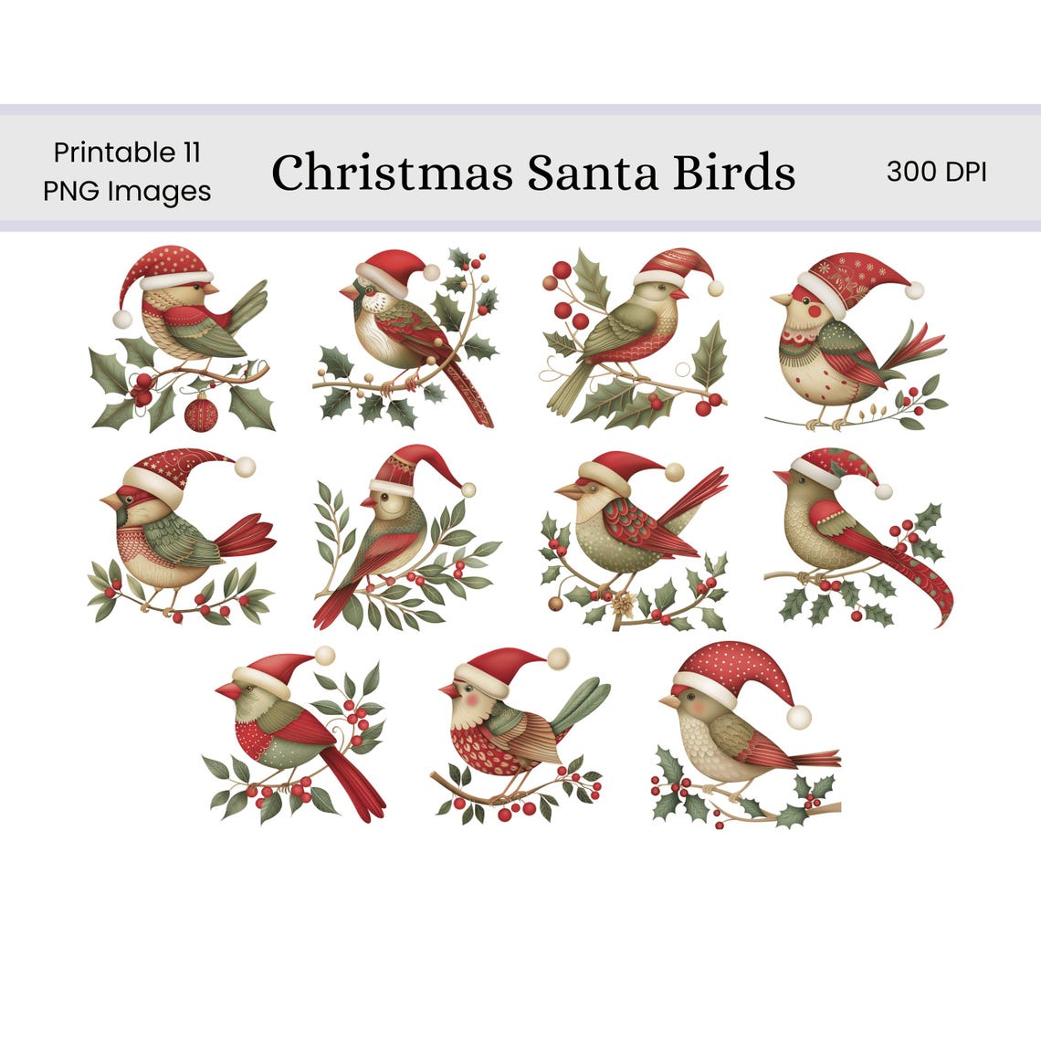 Christmas Santa Birds Clip Art Set | Holiday Digital Images ...
