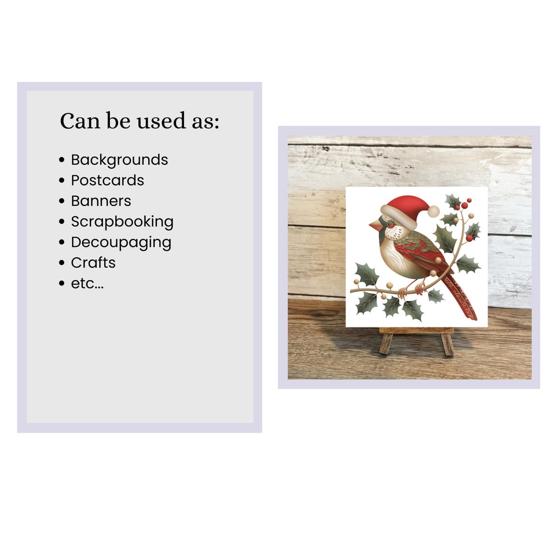 Christmas Santa Birds Clip Art Set | Holiday Digital Images ...