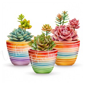 Potted Succulents Digital Pages | Colorful Printable Digital ...