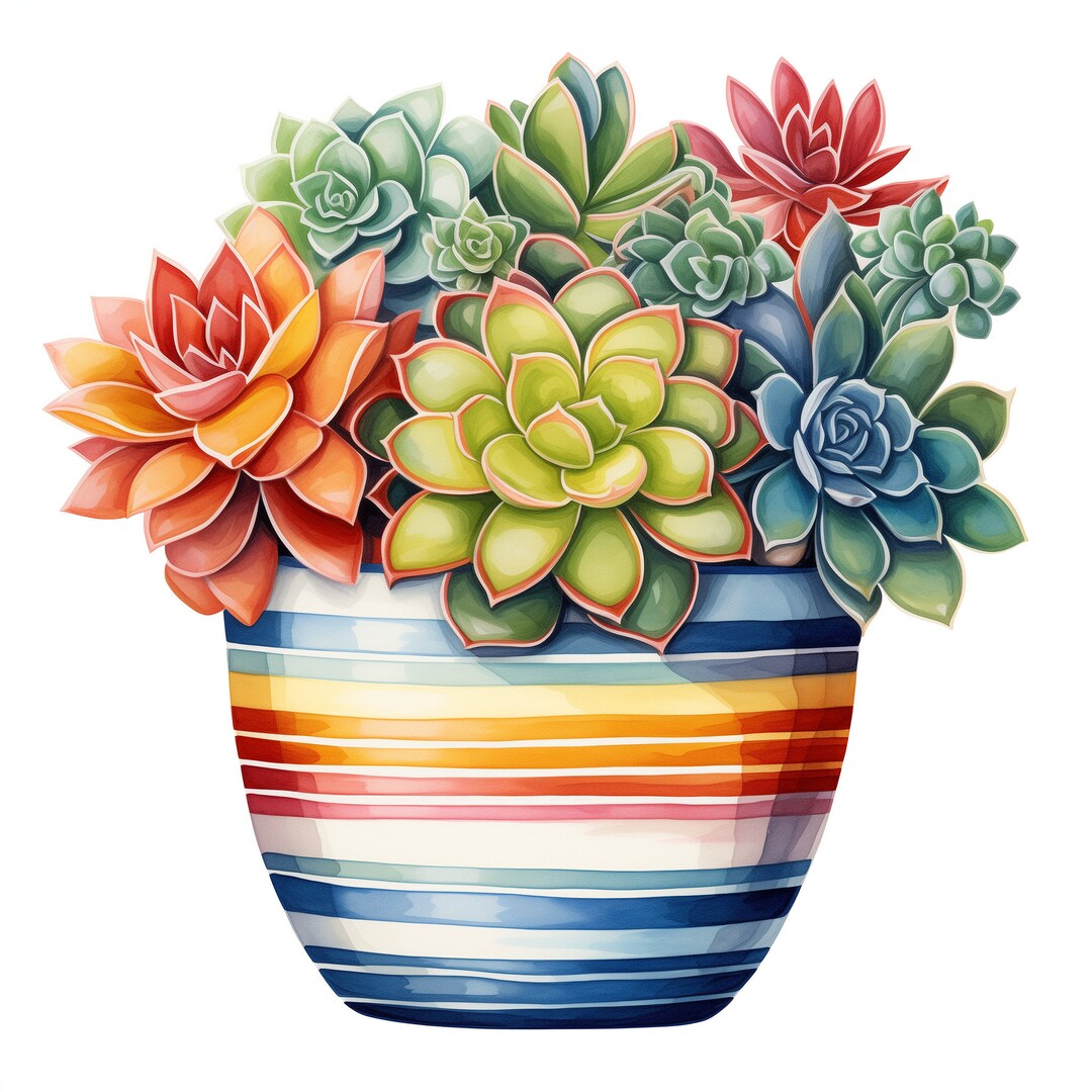 Potted Succulents Digital Pages | Colorful Printable Digital ...