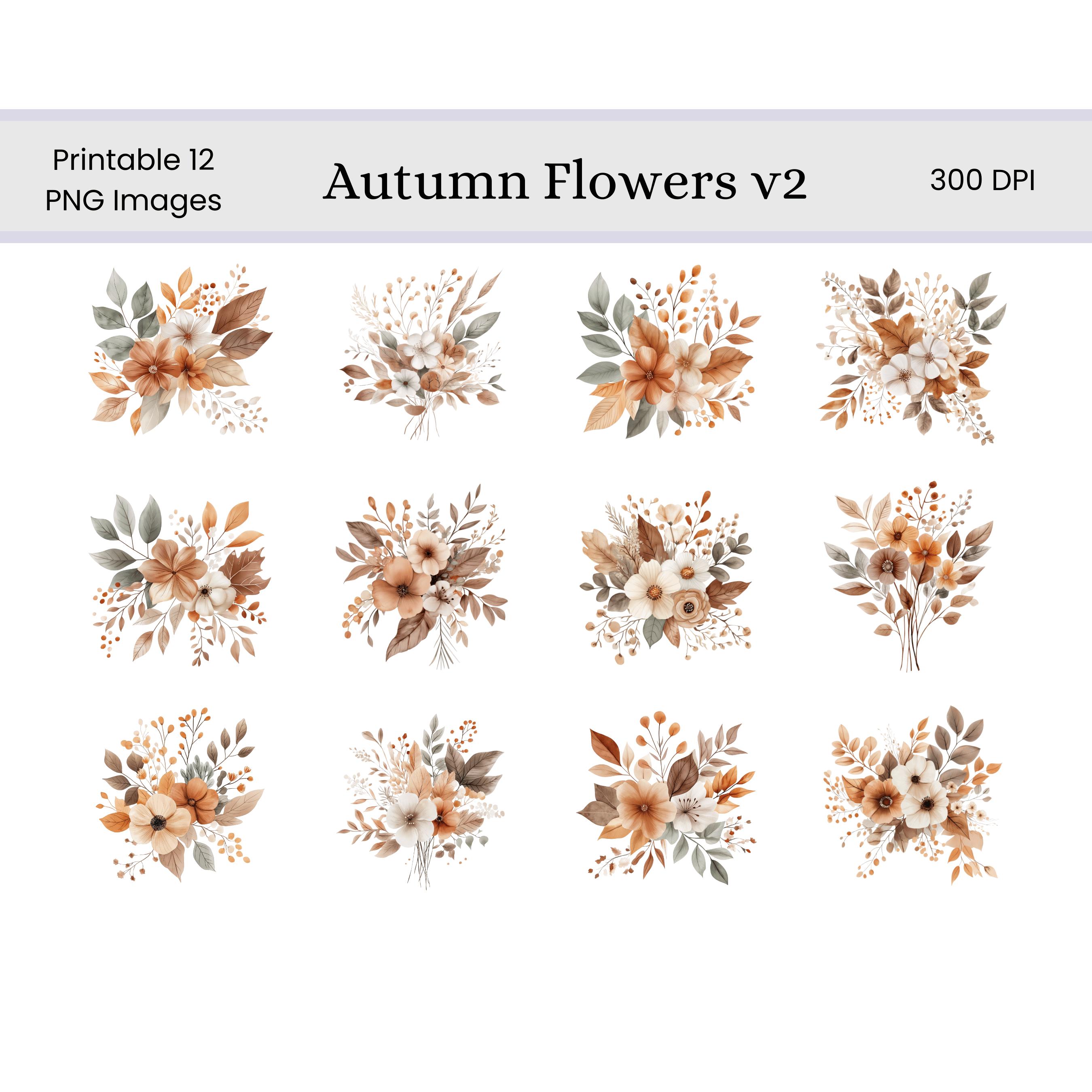 Autumn Flowers V2 Clip Art Set | Digital Fall Images for Scrapbooks ...