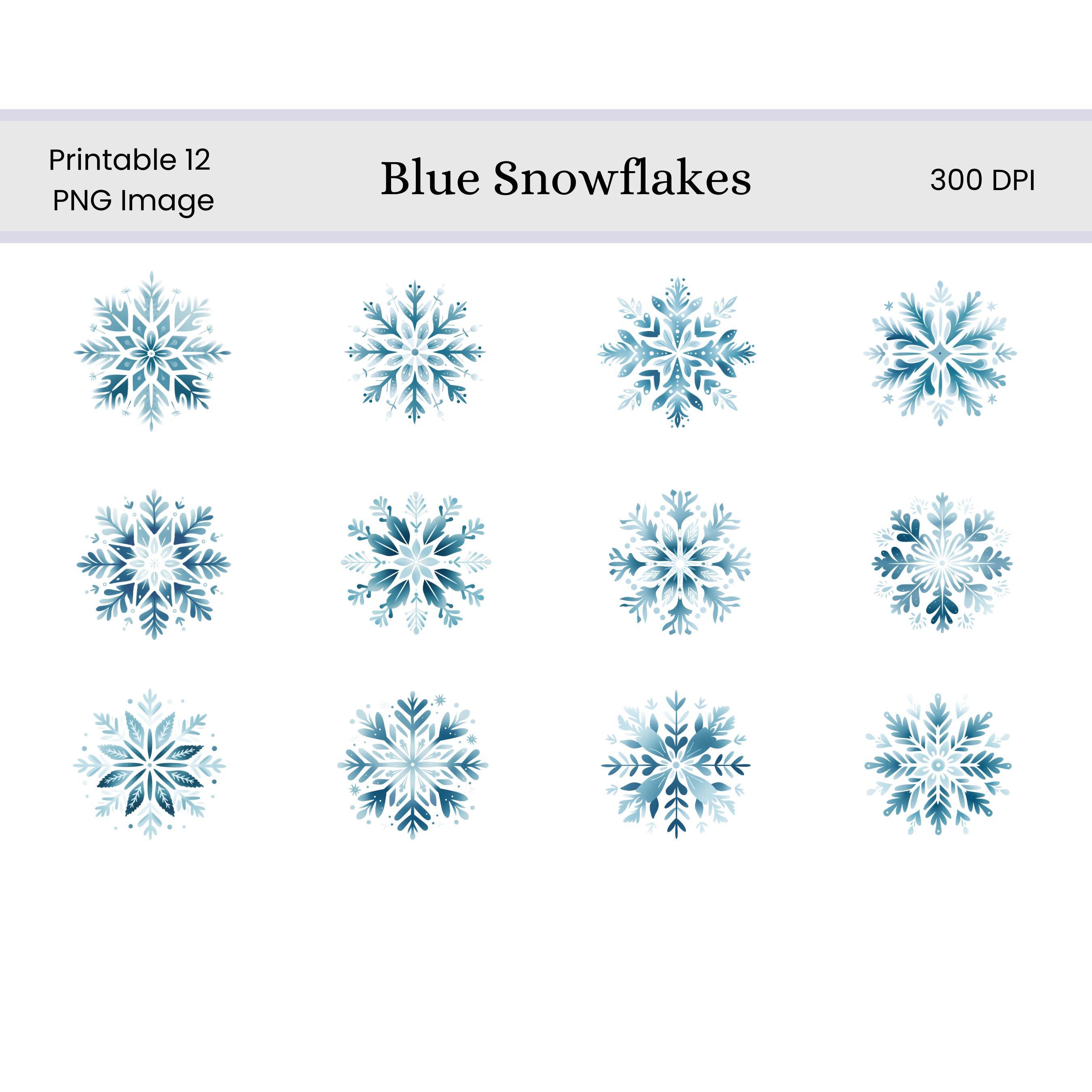 Blue Folk Art Snowflakes Clip Art Set Winter Digital Images for ...