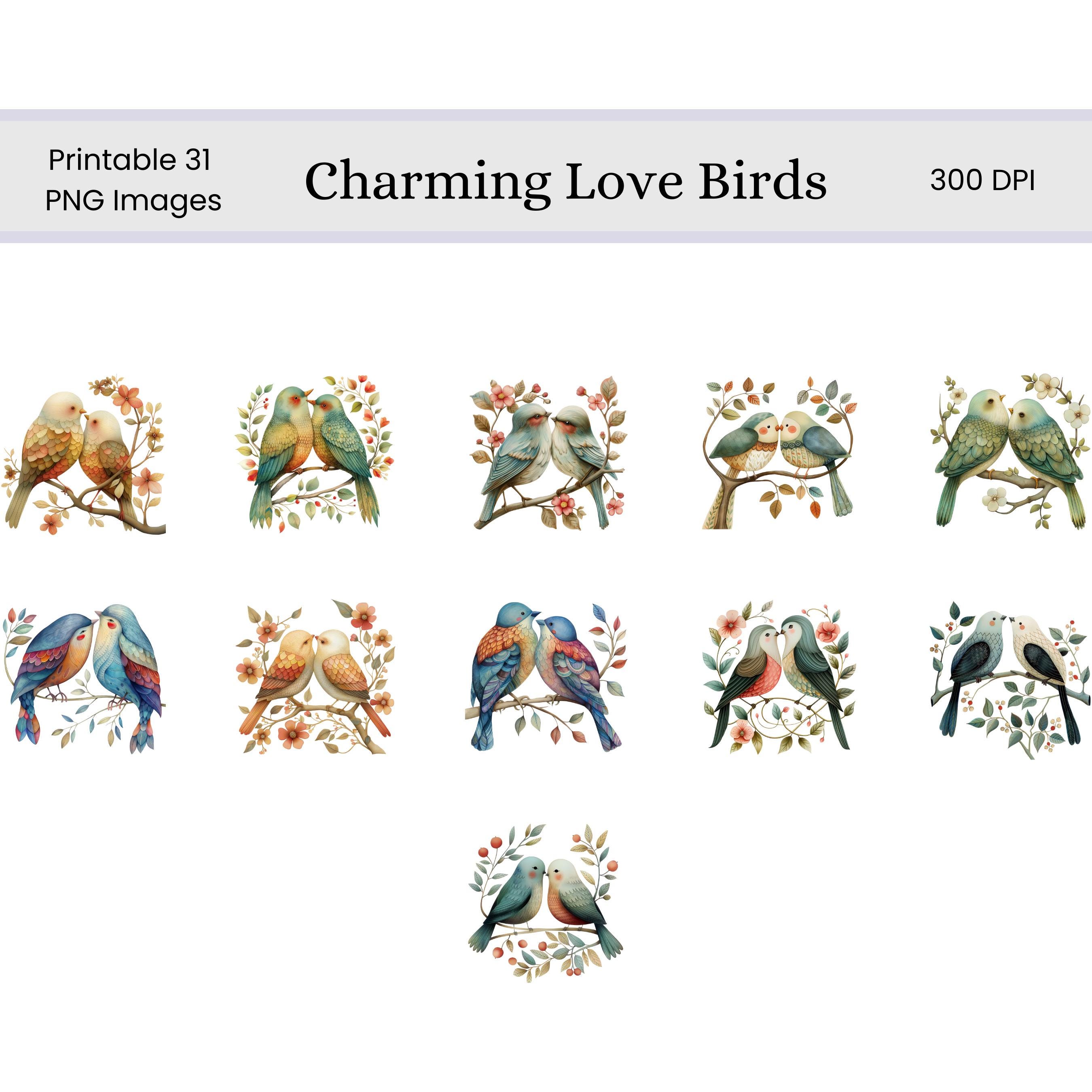 Charming Love Bird Clip Art Set Cute Digital Images for Scrapbooks ...