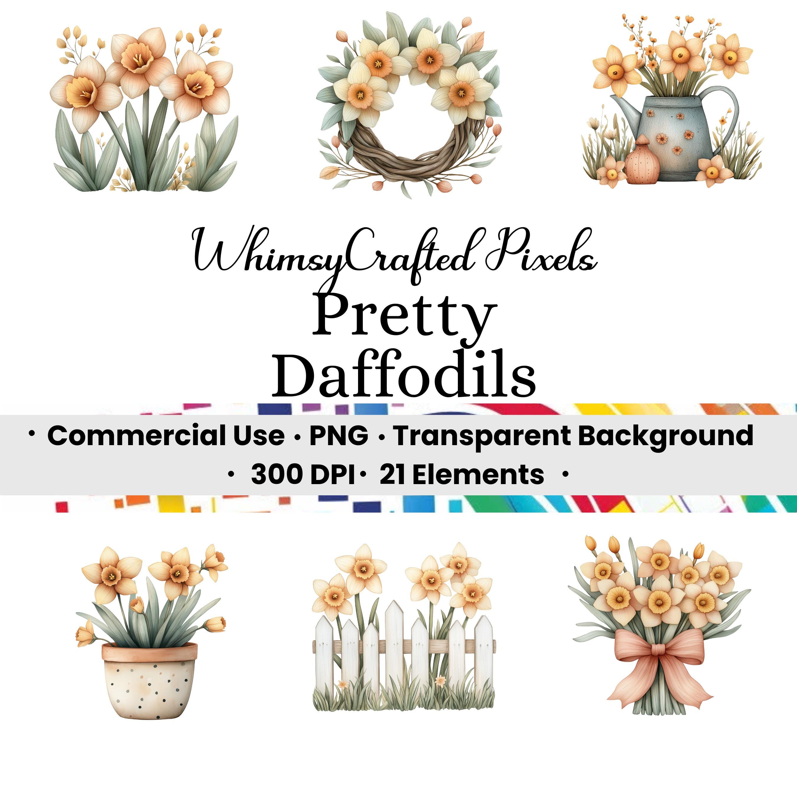 Pretty Daffodils Clip Art Set | Spring Flowers Digital Images ...