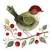 Charming Christmas Birds Clip Art Set | Winter Digital Images ...