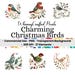 Charming Christmas Birds Clip Art Set | Winter Digital Images ...