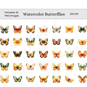 Watercolor Butterflies Clip Art Set | Pretty Digital Images ...
