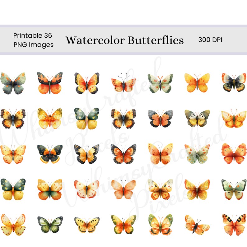 Watercolor Butterflies Clip Art Set Pretty Digital Images Scrapbooks ...