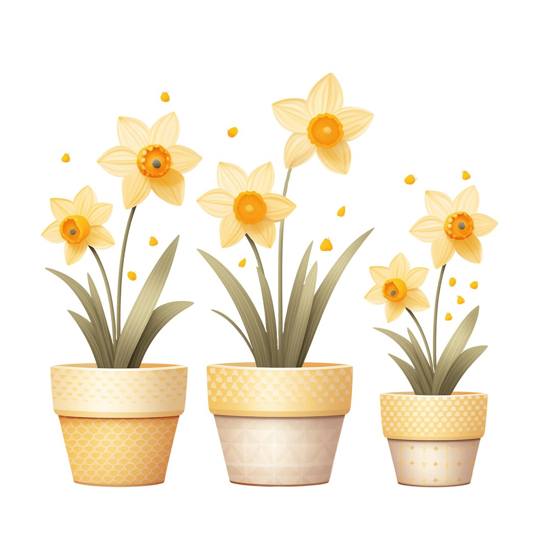 Cute Potted Daffodils Clip Art Set | Digital Daffodil Images for ...
