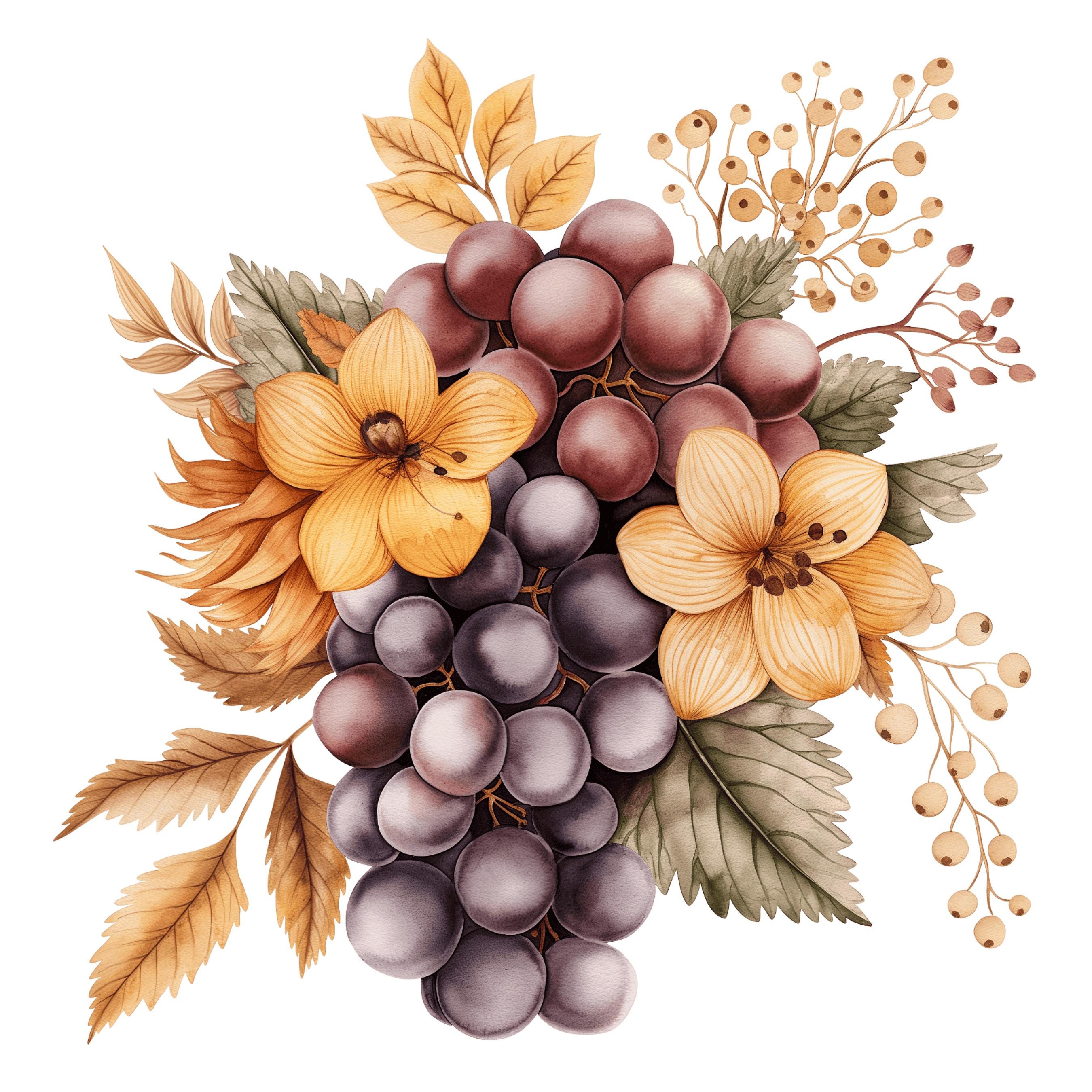 Bunches of Grapes Clip Art Set | Digital Fruit Images for Scrapbooks ...