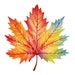 Colorful Maple Leaf Clip Art Set | Fall Digital Images | for Scrapbooks ...