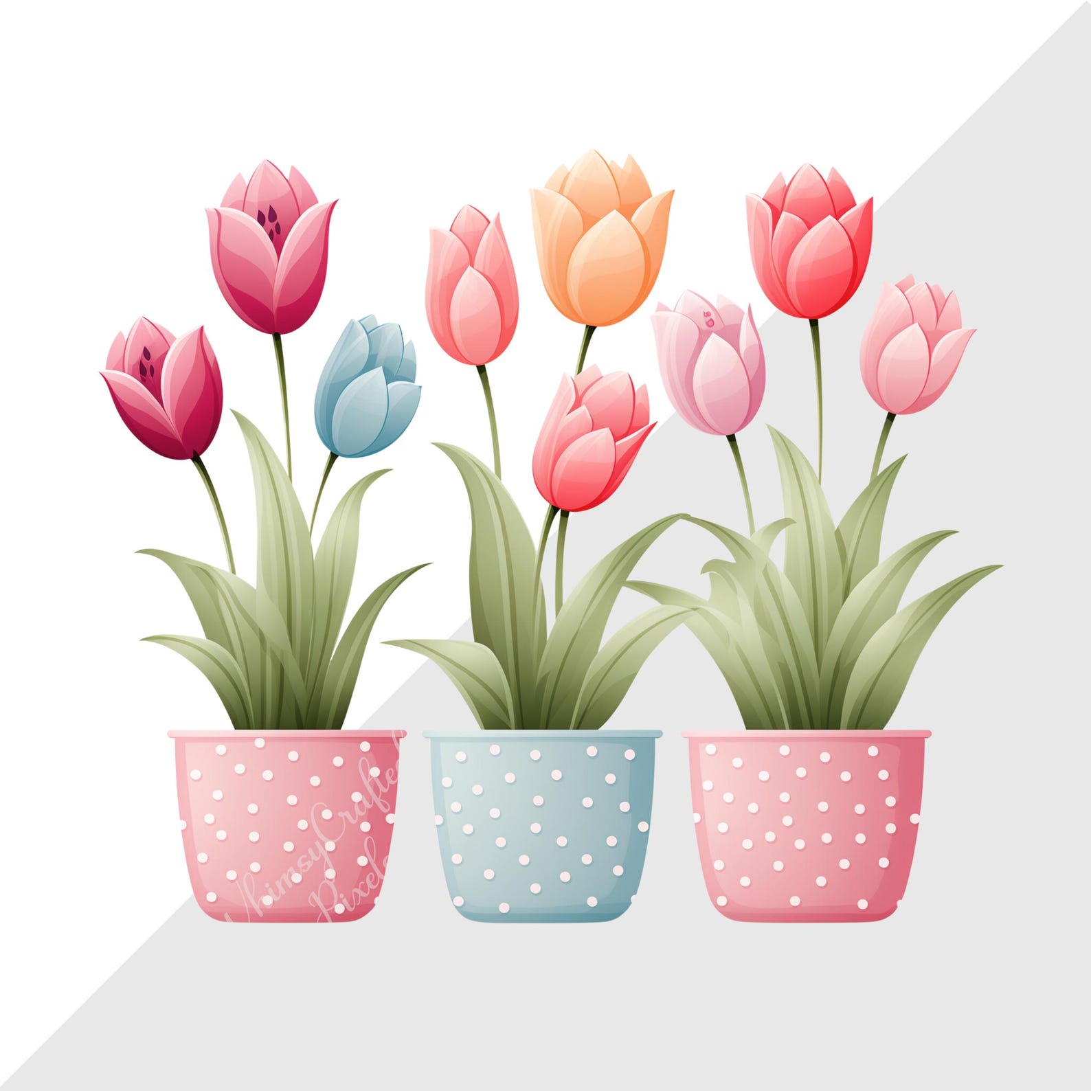 Pretty Pink Tulips Clip Art Set | Spring Digital Images for Scrapbooks ...