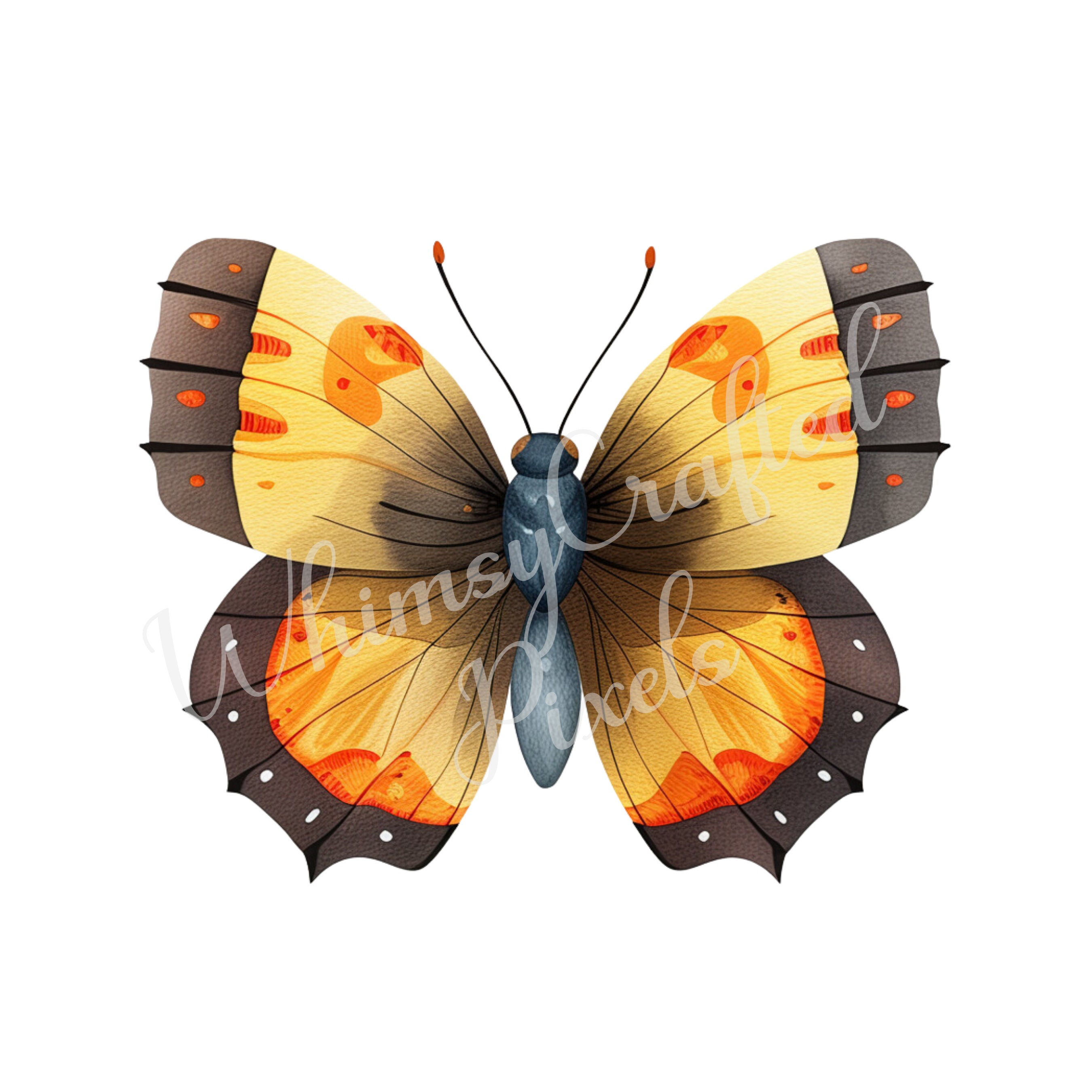 Watercolor Butterflies Clip Art Set Pretty Digital Images Scrapbooks ...