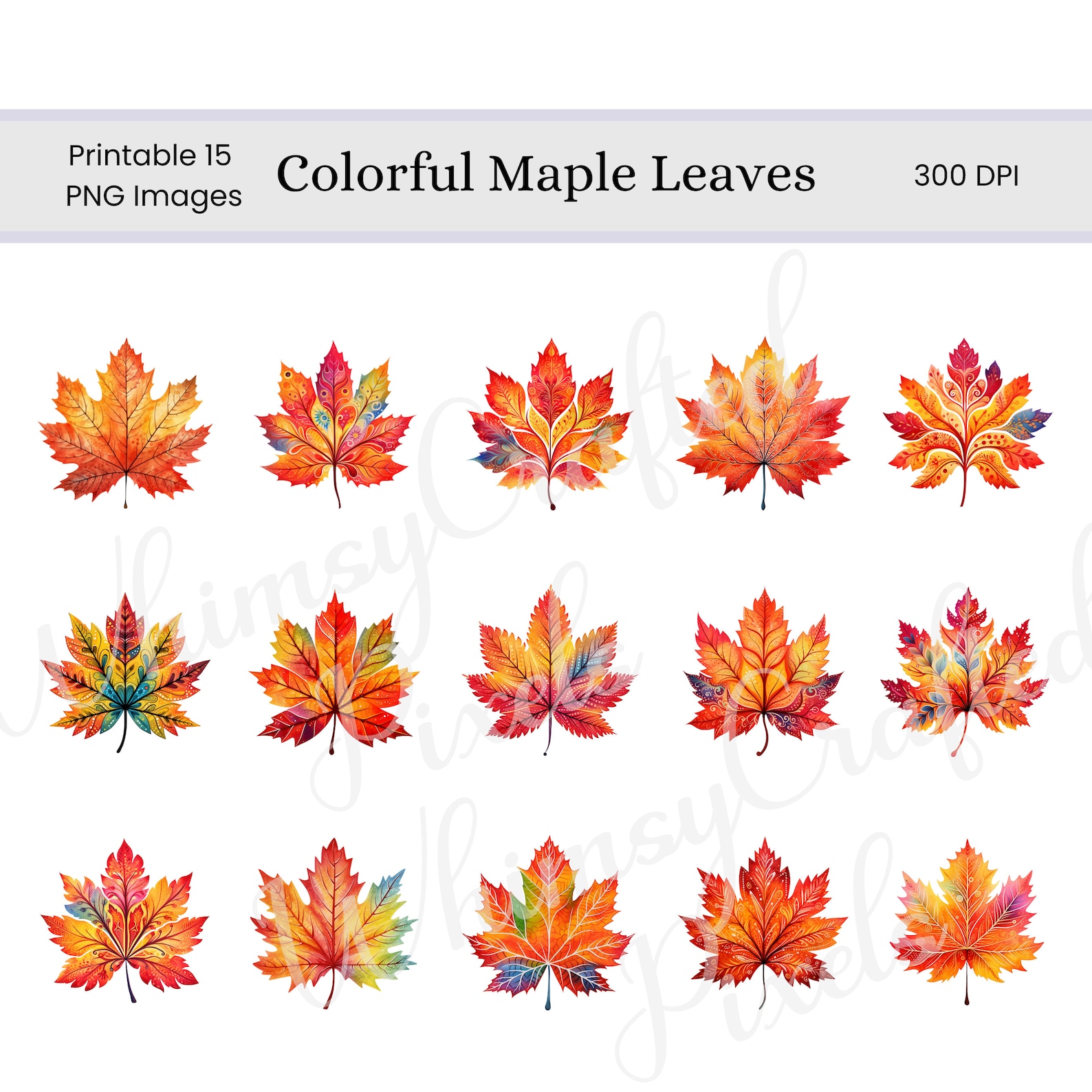 Colorful Maple Leaf Clip Art Set | Fall Digital Images | for Scrapbooks ...
