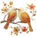 Charming Love Bird Clip Art Set | Cute Digital Images | for Scrapbooks ...