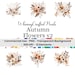 Autumn Flowers V2 Clip Art Set | Digital Fall Images for Scrapbooks ...