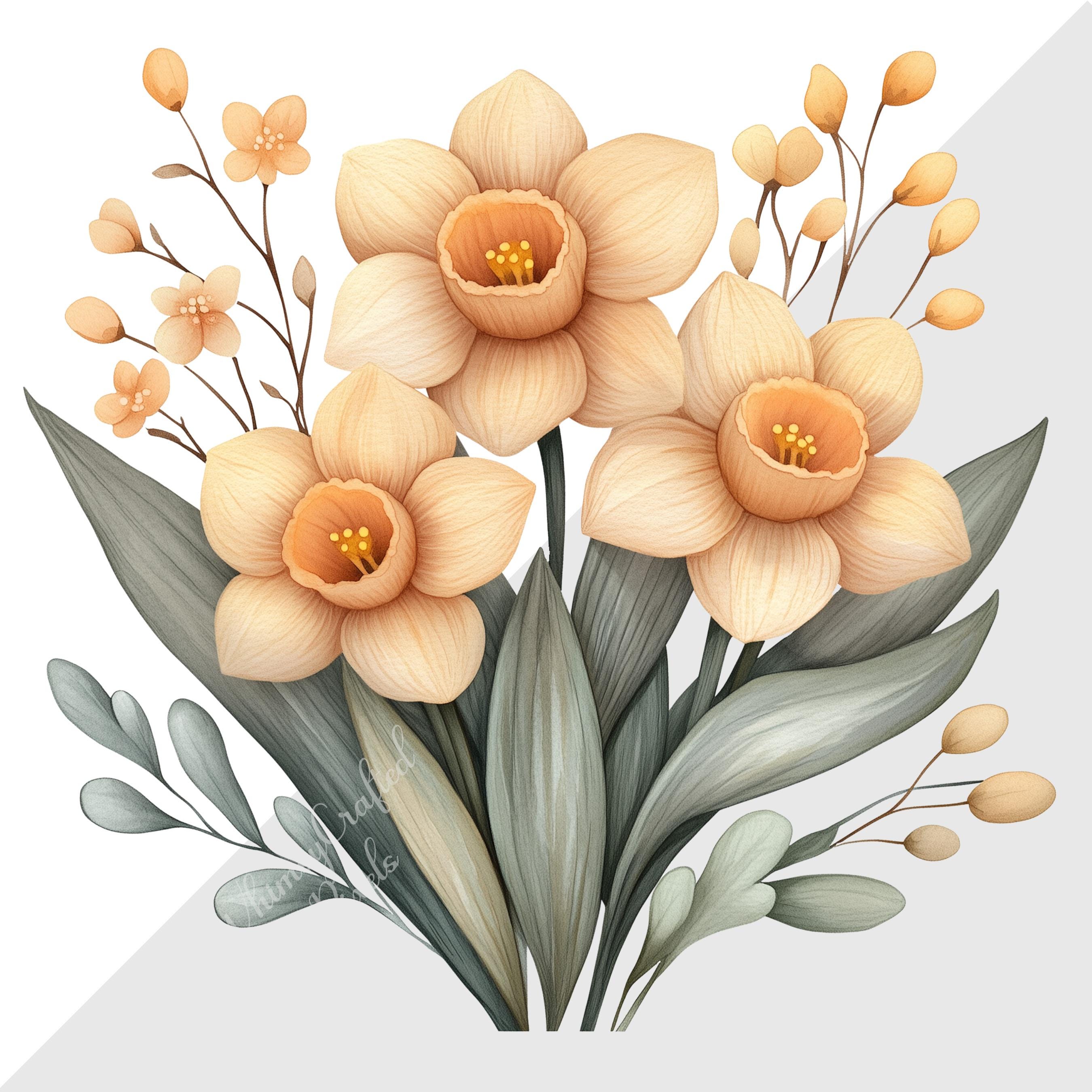 Pretty Daffodils Clip Art Set | Spring Flowers Digital Images ...