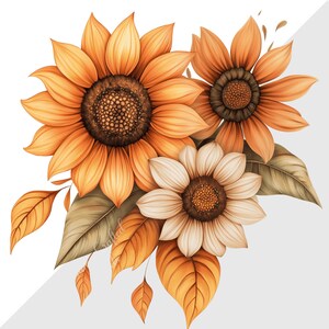 Autumn Sunflowers V2 Clip Art Set | Digital Fall Images for Scrapbooks ...