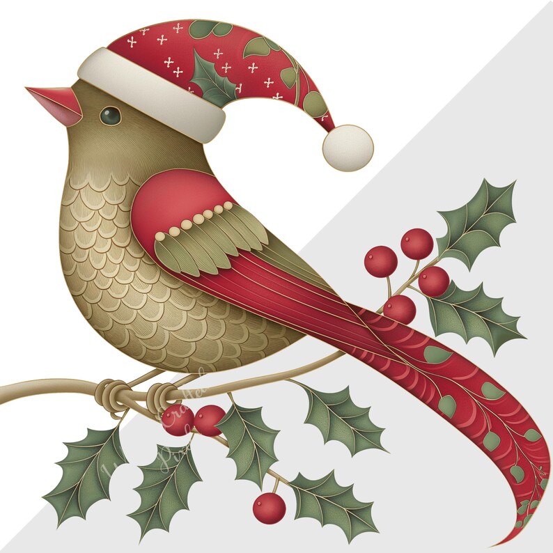 Christmas Santa Birds Clip Art Set | Holiday Digital Images ...