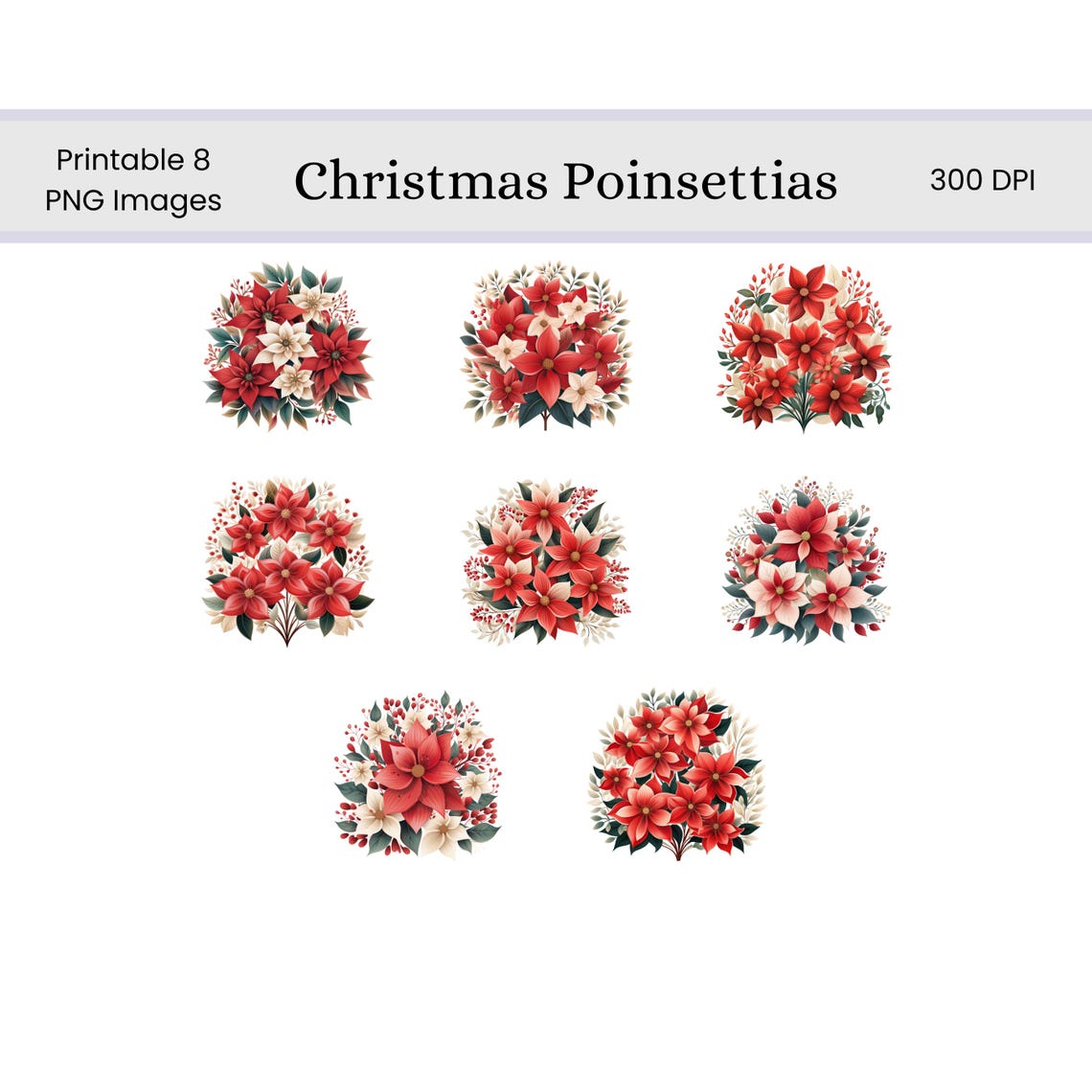 Christmas Poinsettias Clip Art | Holiday Digital Images | for ...