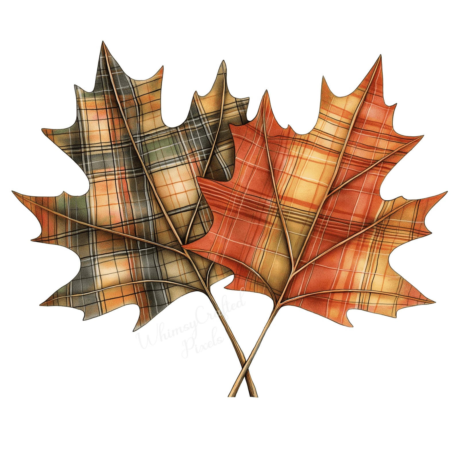 Plaid Maple Leaf Clip Art Set | Fall Digital Images | for Scrapbooks ...