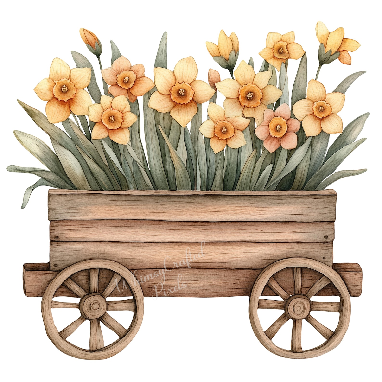 Pretty Daffodils Clip Art Set | Spring Flowers Digital Images ...
