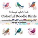 Colorful Doodle Bird Clip Art Set | Fun Digital Images | for Scrapbooks ...