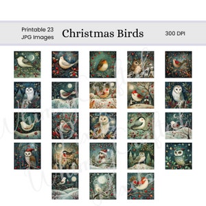 Christmas Birds Digital Pages | Holiday Printable Digital Backgrounds ...