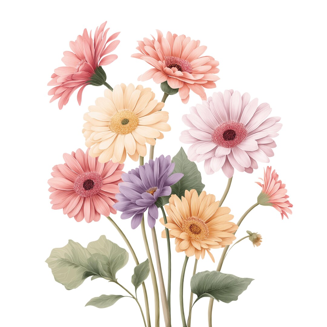 Pastel Gerbera Daisies Clip Art Set |digital Floral Images for ...