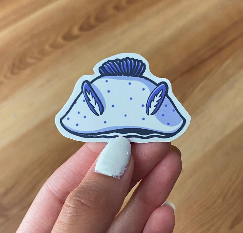 Cute Marine Animal Sticker Set of 8, Sticker Pack, Sea Bunny ...