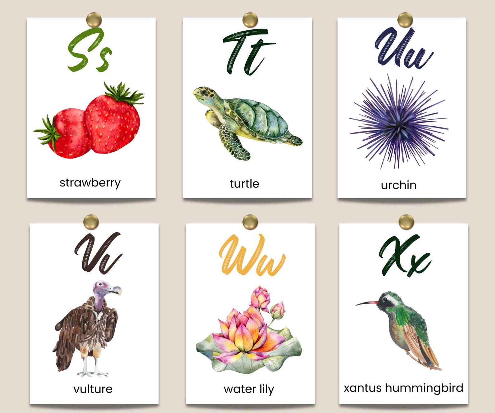 Printable ABC Alphabet Flashcards, ABC Educational Cards, A-Z Cards ...