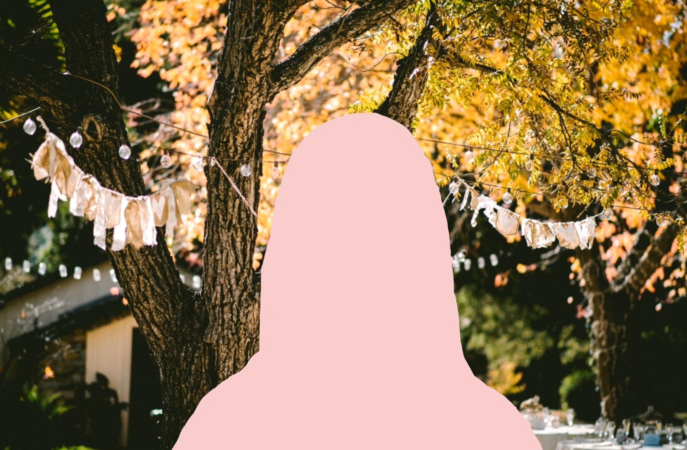 Virtual Background, Zoom, 5 Zoom Birthday Party Instant Download ...