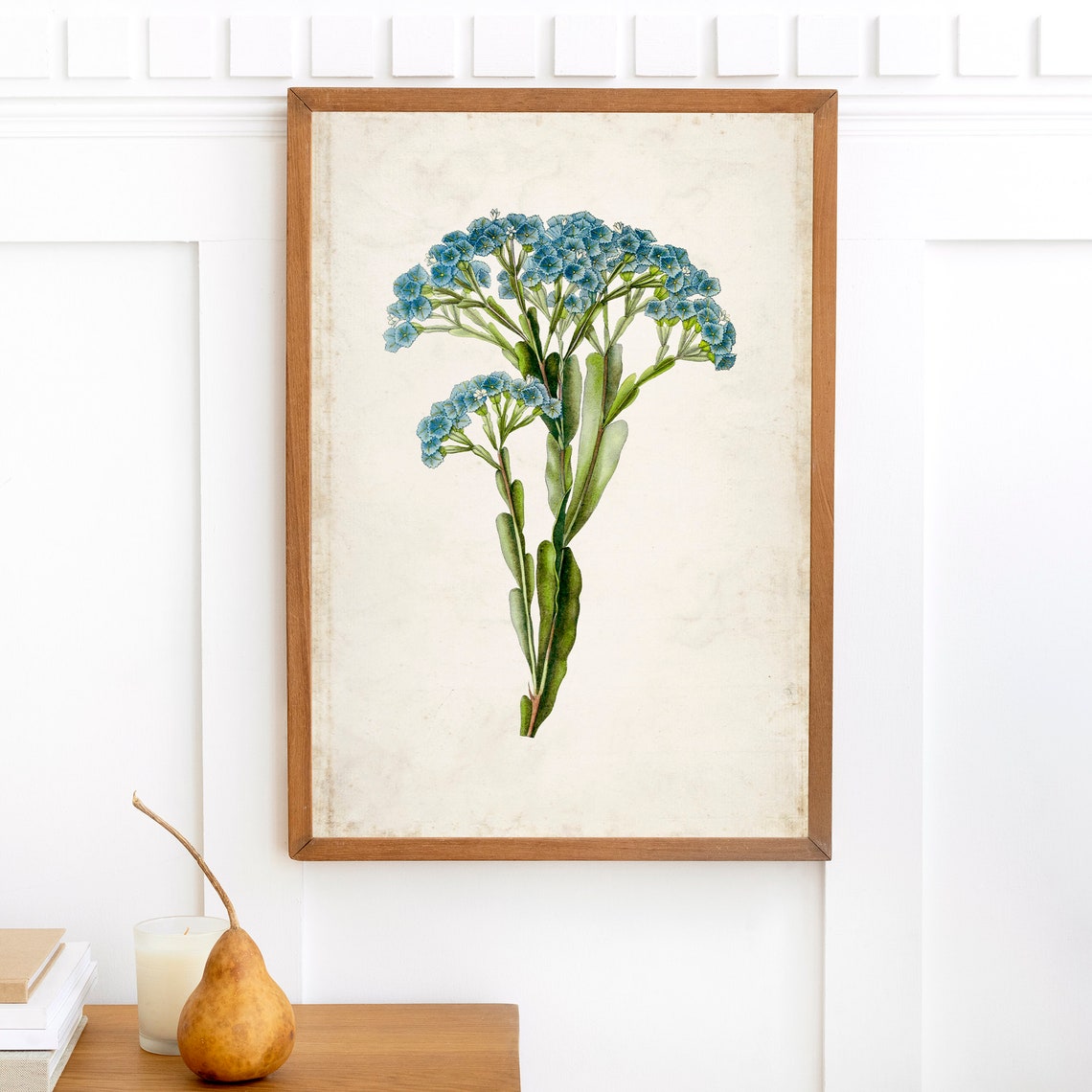 Blue Statice Flower Drawing Print, Archival Vintage Botanical Floral ...