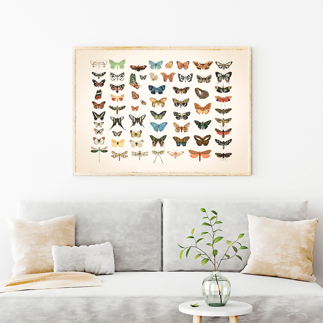 Vintage Butterflies Chart Print, Antique Butterfly Illustration Prints ...