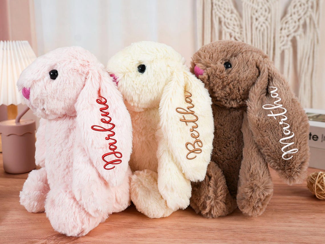 Personalized Stuffed Bunny for Baby,embroidered Plush Bunny Toy,plush ...